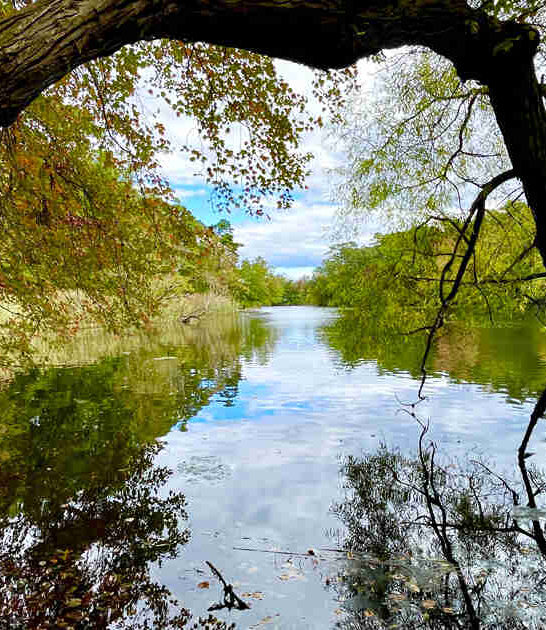 serene new jersey lake ftr