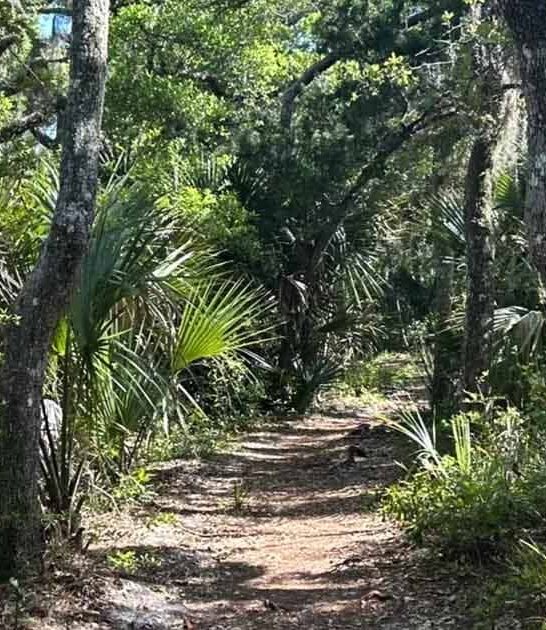 serious easy florida trails ftr