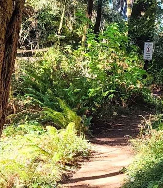 short oregon coastal trail ftr