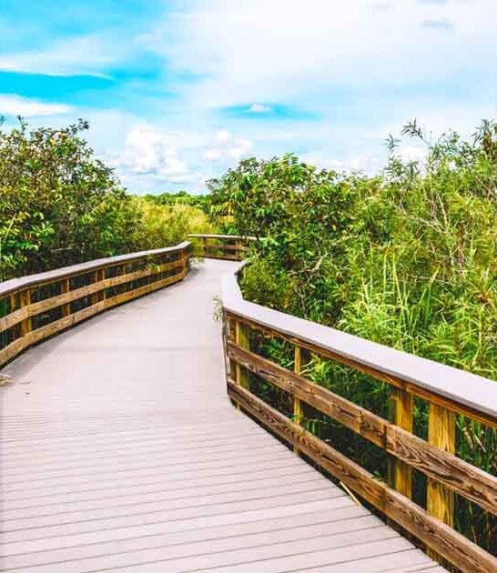 short sweet florida hikes ftr