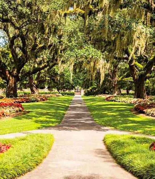 south carolina amazing garden ftr