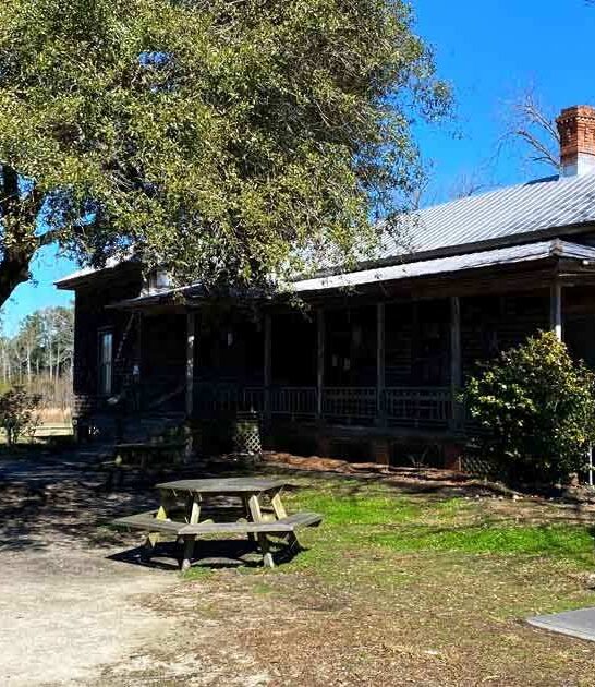 south carolina best ribs ftr