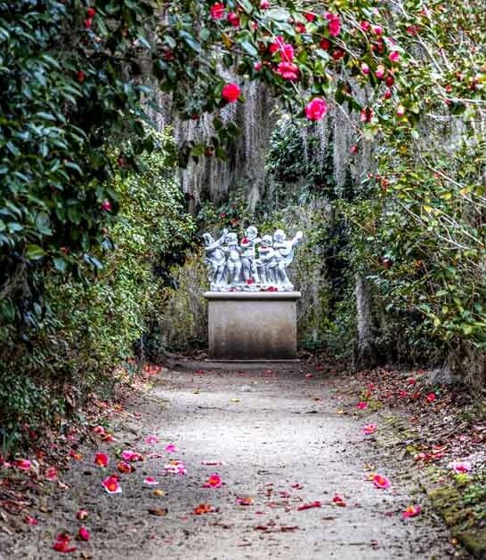 south carolina enchanting places ftr