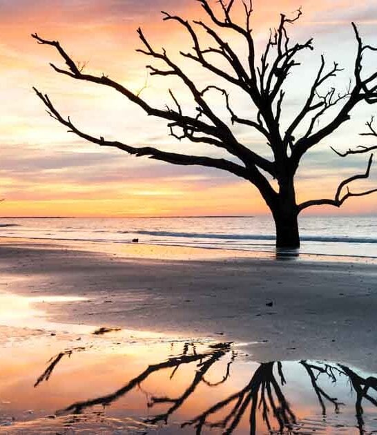 south carolina fairytale park ftr