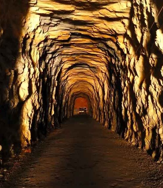 south carolina family adventures ftr