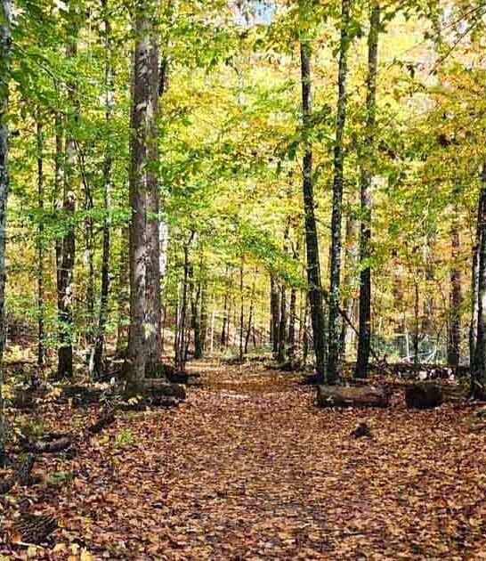 south carolina gorgeous hikes ftr