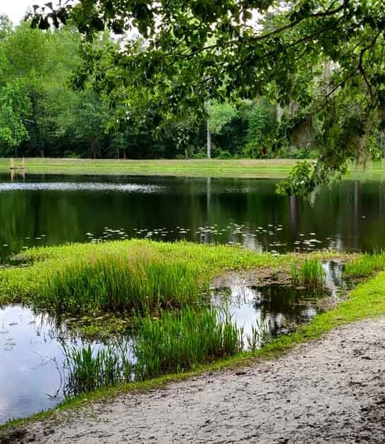 south carolina growing park ftr