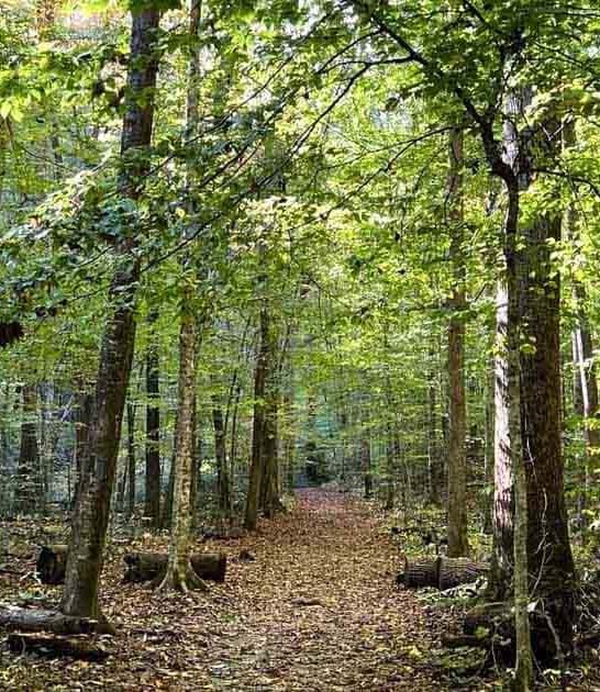 south carolina hikes ftr