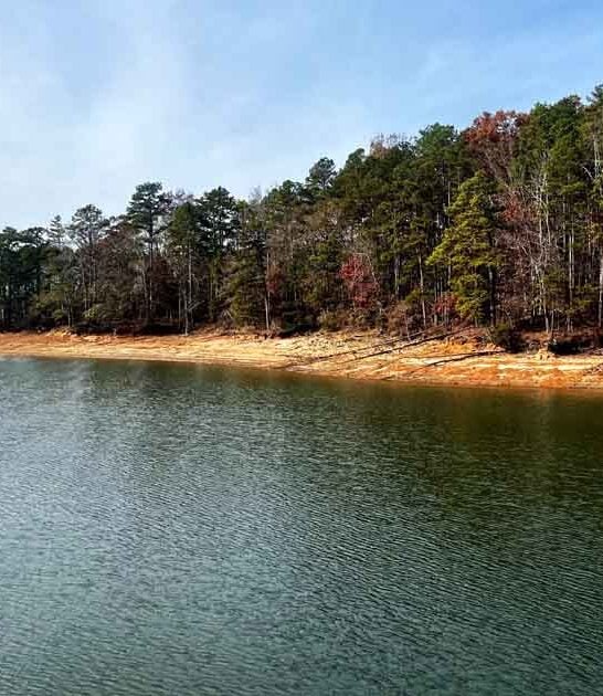 south carolina lake park ftr