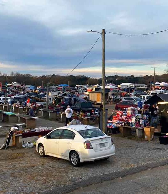 south carolina markets favorite ftr