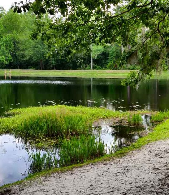 south carolina mountain park ftr