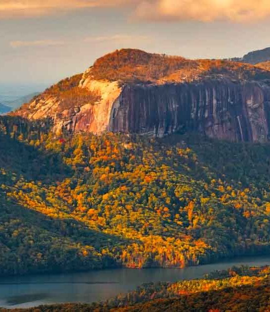 south carolina natural wonders ftr