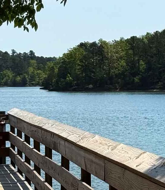 south carolina park breathtaking ftr