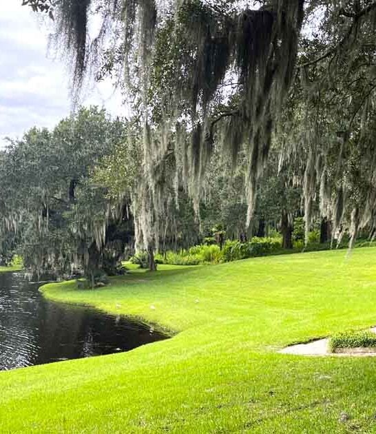 south carolina storybook places ftr