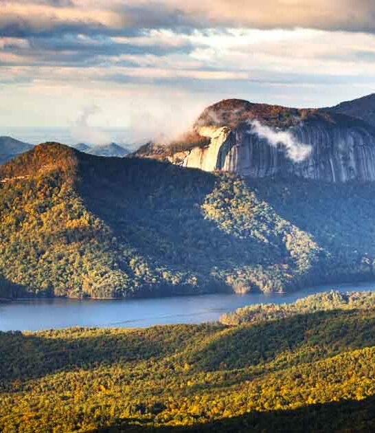 south carolina wonders natural ftr