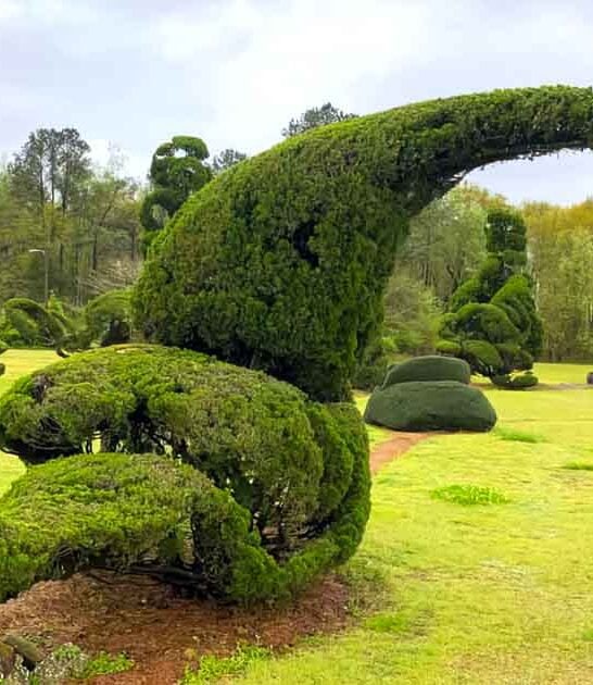 south carolinas bizarre roadside ftr