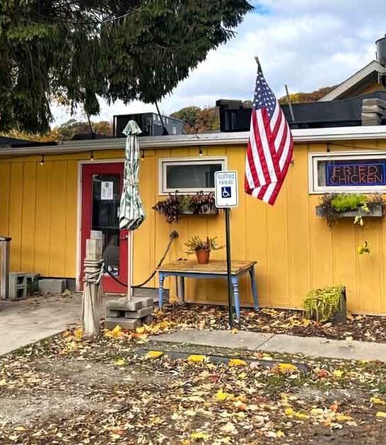 southerner fried chicken michigan ftr