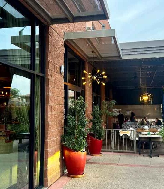 speakeasy unassuming arizona restaurant ftr