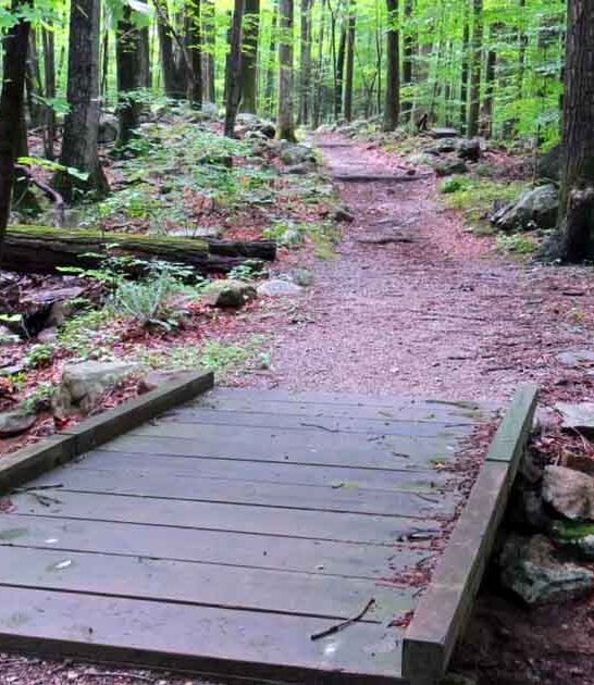 spectacular new jersey park ftr