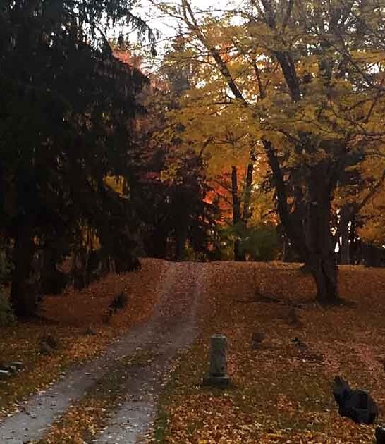 spine tingling spots michigan ftr