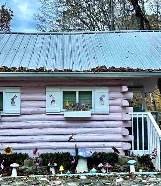 spots magical north carolina ftr