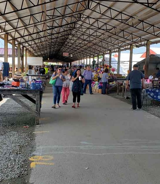 sprawling kentucky flea market ftr