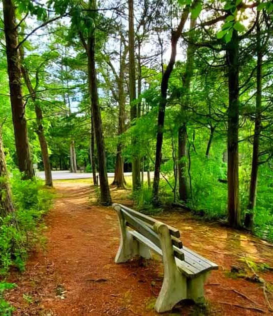 sprawling wilderness new jersey ftr
