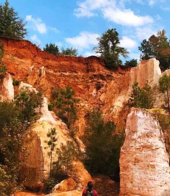 state georgia park underrated ftr