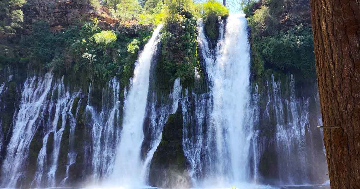 You'd Never Believe This Enchanting State Park Is Actually In California