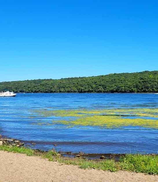 state park gorgeous minnesota ftr