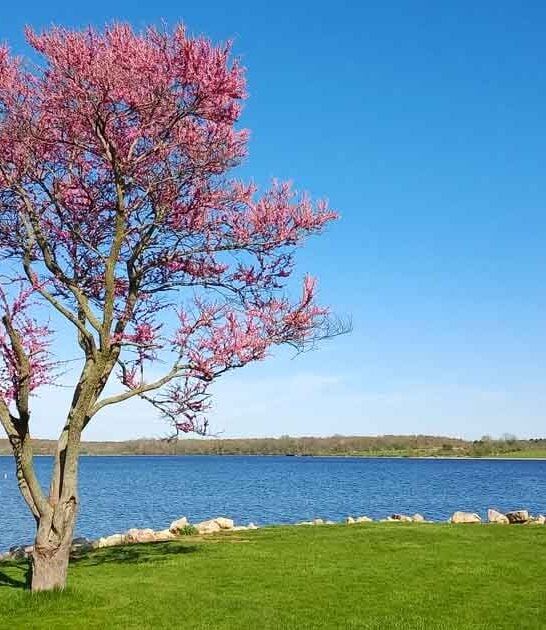 state park ohio fairytale ftr