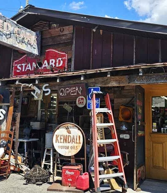 store north carolina wonderland ftr