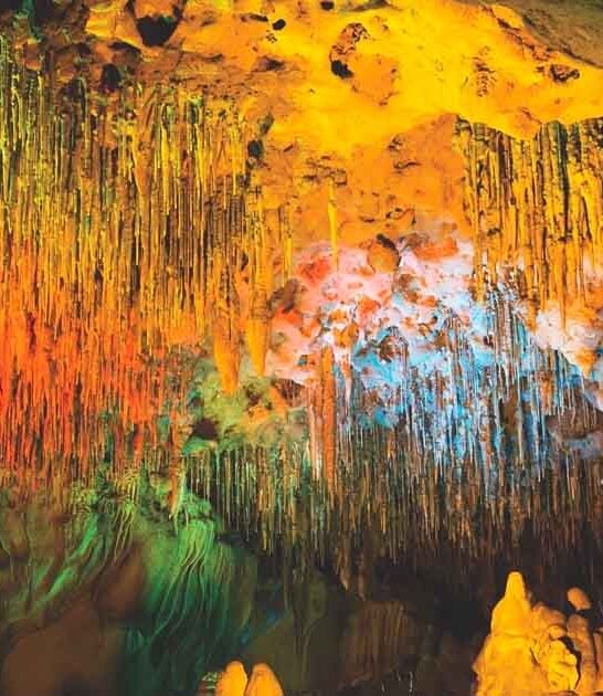 stunning florida park fairytale ftr