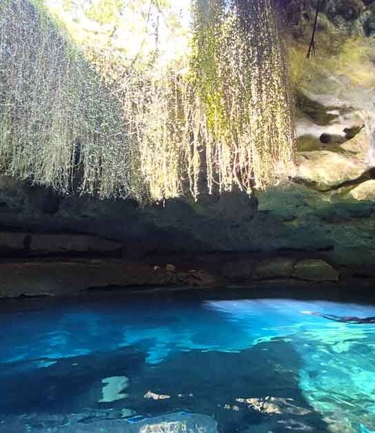 stunning natural wonders florida ftr