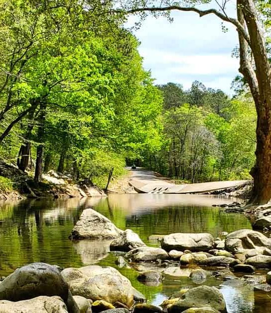stunning nature park alabama ftr