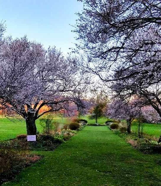 stunning new jersey garden ftr