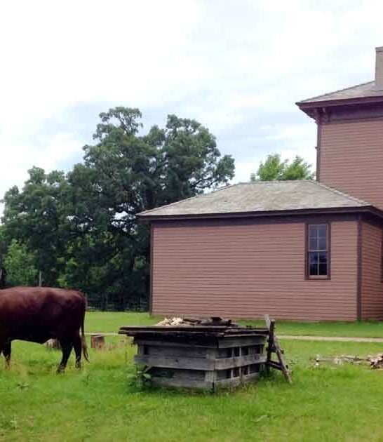stunning operational farm minnesota ftr