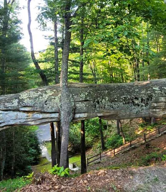 stunning park kentucky fairytale ftr