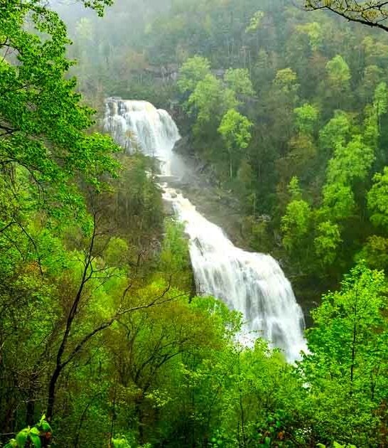 stunning wonders north carolina ftr