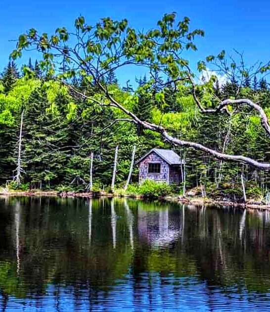 surreal massachusetts state park ftr