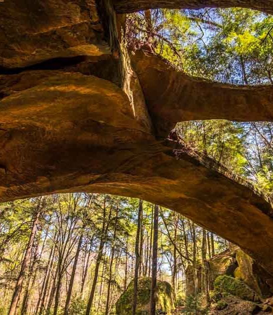 surreal natural wonders alabama ftr