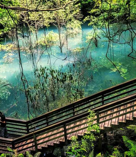 surreal natural wonders florida ftr