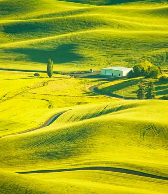 surreal natural wonders washington ftr