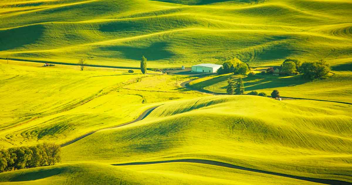 The 8 Most Surreal Natural Wonders In Washington Are Straight Out Of A ...