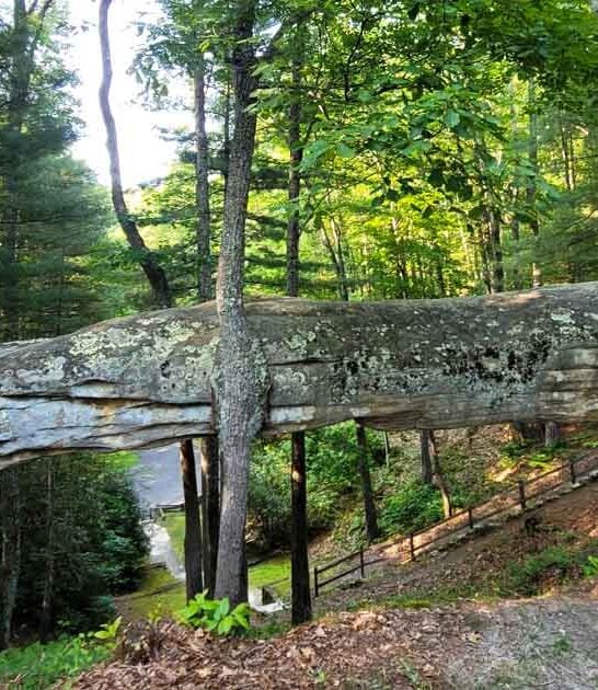 surreal state park kentucky ftr
