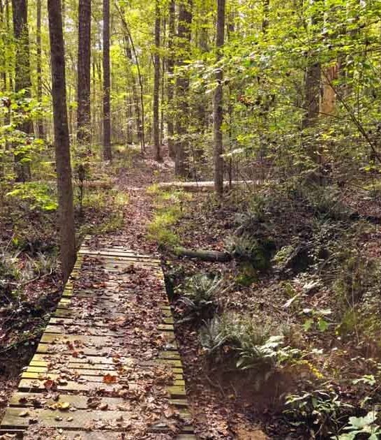 sweet alabama hikes wonderful ftr