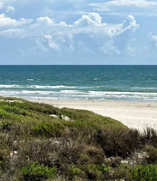 texas affordable road trips ftr