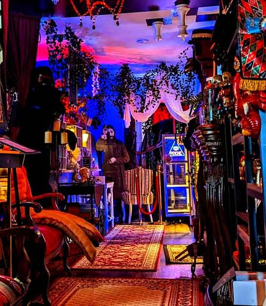 texas bizarre curiosity shop ftr
