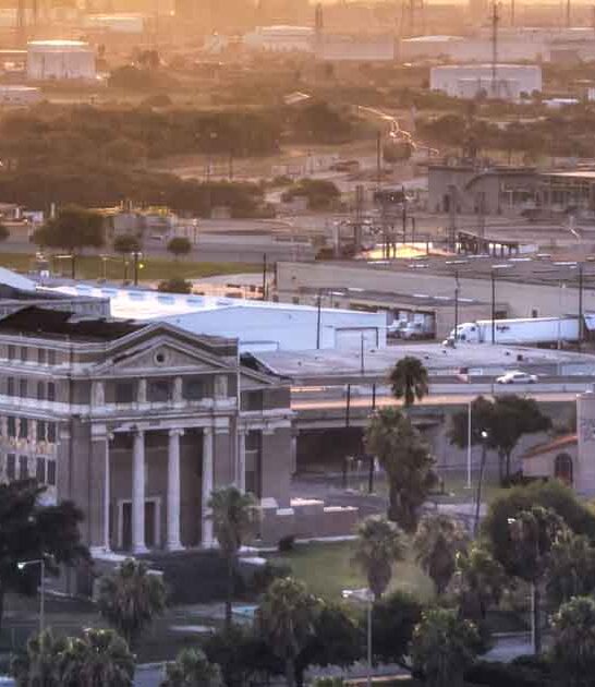 texas city live month ftr
