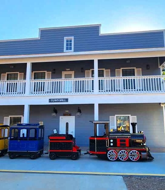 texas delightful amusement park ftr